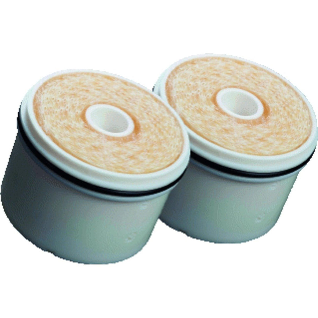 Pentair Filtrix Legionella filter - Vervangfilters – H2O Enterprise